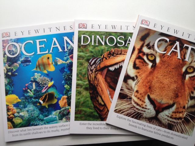 Eyewitness books by DK Canada in paperback