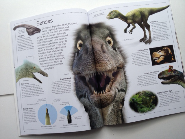 Eyewitness books by DK Canada in paperback