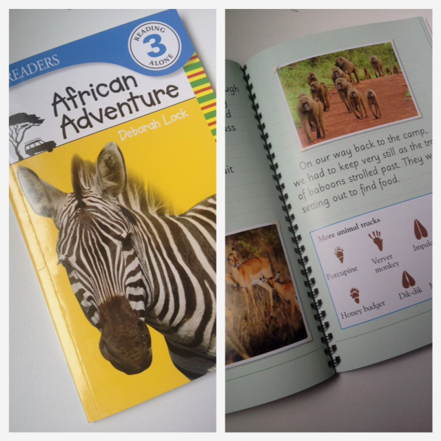 A Book For Every Reading Level with DK Readers - My Family Stuff