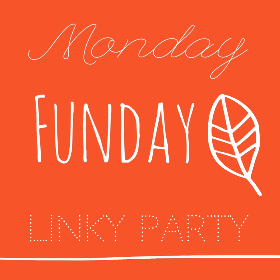 Monday Funday Linky {Nov 9} - My Family Stuff