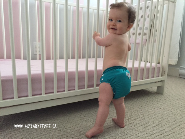 Fluff Love: Applecheeks Cloth Diapers and Accessories + Giveaway - My ...