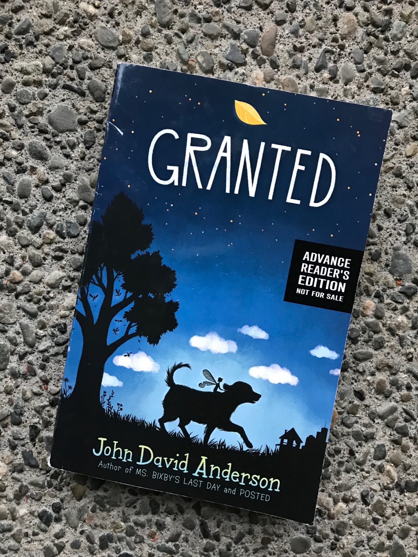 New Chapter Book Releases by Harper Collins + Giveaway - My Family Stuff