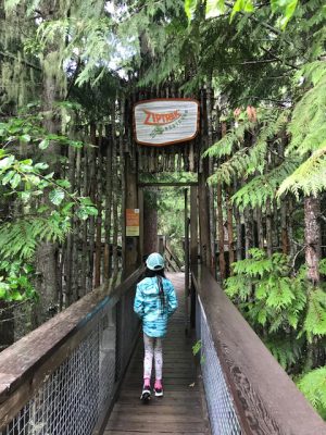 TreeTrek Canopy Walk in Whistler with ZipTrek Ecotours - My Family Stuff
